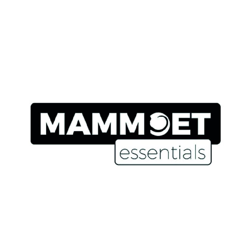 Mammoet - Riké Group INT